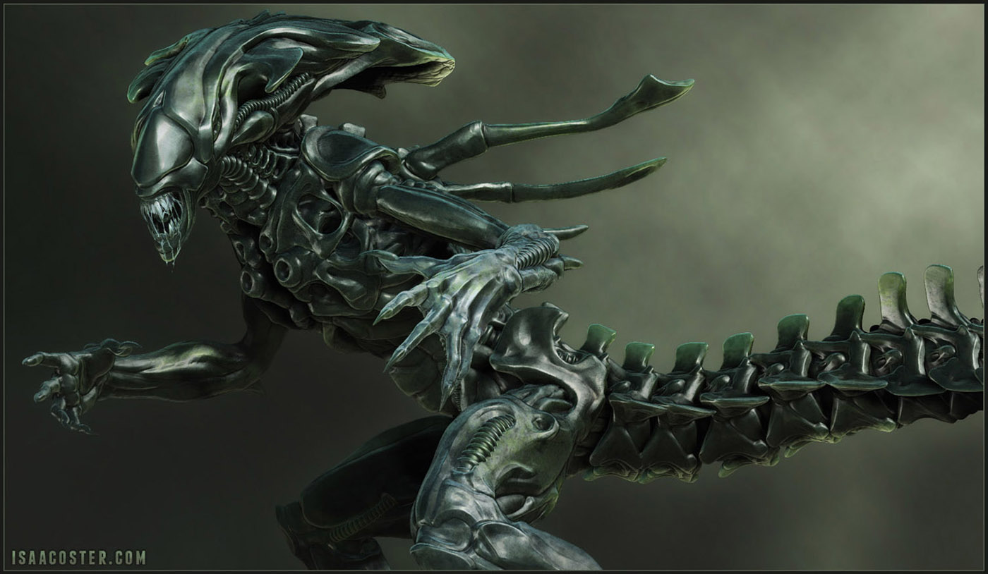 1000+ images about Creature design on Pinterest | Xenomorph, Aliens and ...